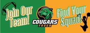 Yough Youth Football & Cheer – Proud Tradition Since 1964