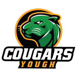 Yough Youth Football & Cheer – Proud Tradition Since 1964